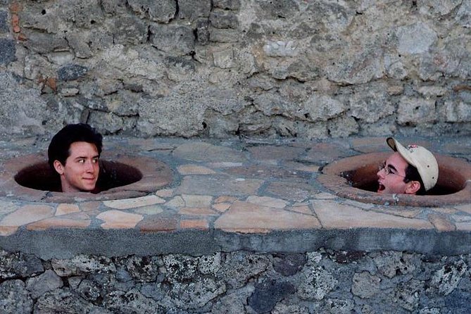 POMPEI Half Day TOUR - Departure From NAPLES Centre (Ticket INCLUDED) - Accessibility Options for Travelers