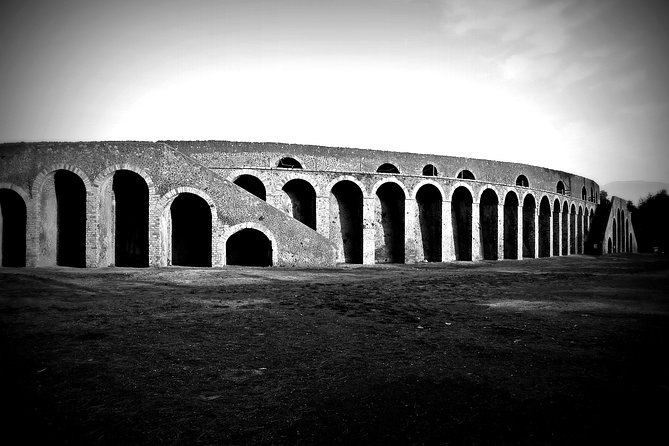 POMPEI Half Day TOUR - Departure From NAPLES Centre (Ticket INCLUDED) - Traveler Feedback and Experiences
