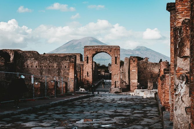 Pompei Skip The Line 2-Hours Guided Tour in English or Italian - Tour Experience and Feedback