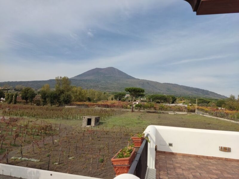 Pompei Tour - Tour Inclusions