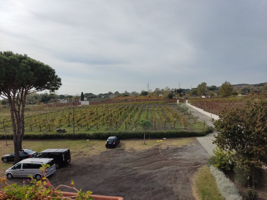 Pompei Tour - Frequently Asked Questions