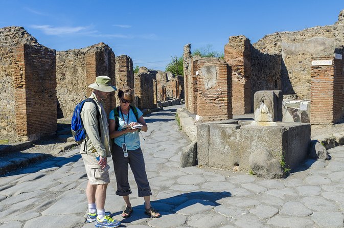 Pompeii 2-Hour Private Tour With an Archaeologist-Ticket Included - Booking Information and Pricing