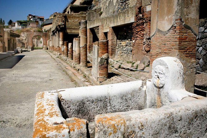 Pompeii: 2-Hour Walking Tour with professional guide - Navigating the Price and What It Offers