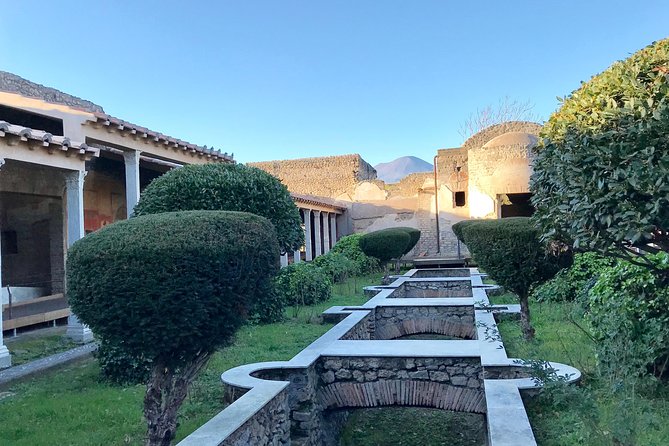 Pompeii 3h Visit With Your Expert Guide - Customizing Your Pompeii Experience