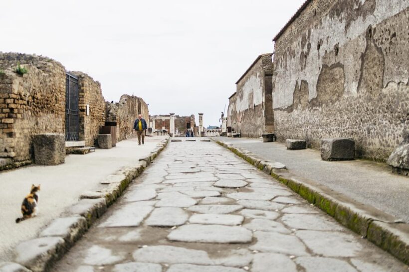 Pompeii: Afternoon to Sunset Guided Tour with Ticket - Who Will Love This Tour?