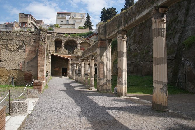 Pompeii and Herculaneum Day Tour - with Lunch from Naples - Detailed Review of the Tour Experience