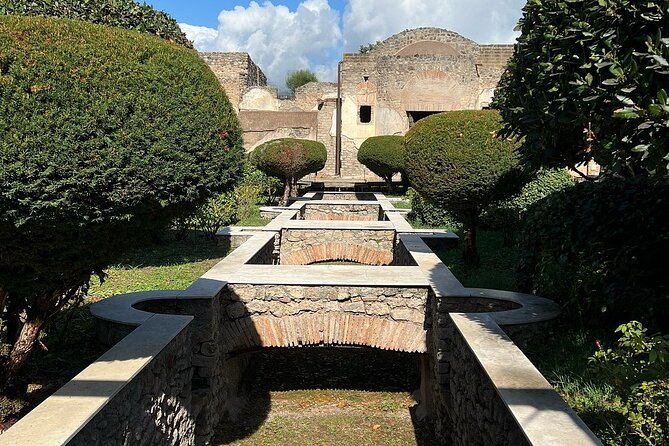 Pompeii and Herculaneum From Sorrento or Naples - Accessibility and Participation Options