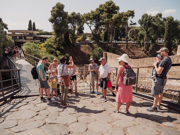 Pompeii and Herculaneum Led by an Archaeologist With Private Transport - The Impact of Mount Vesuvius