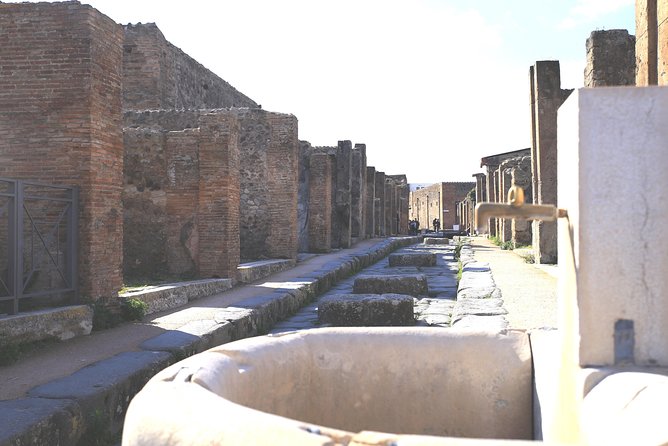 Pompeii and Herculaneum Private Tour With Native Guide and Skip the Line Tickets - Private Guide Experience