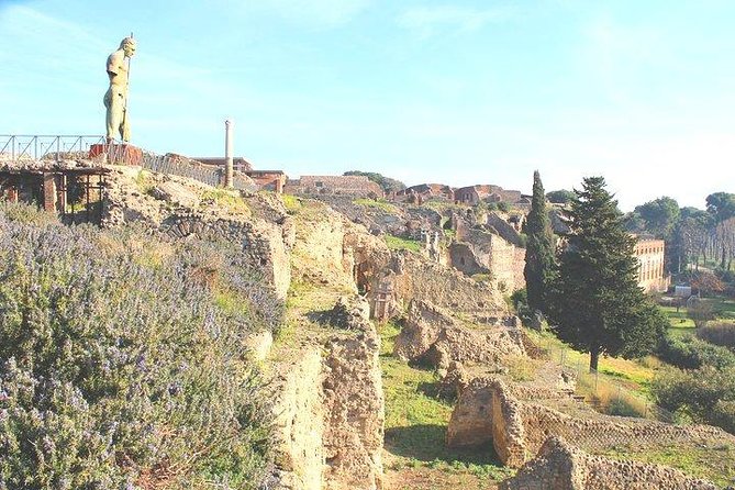 Pompeii and Herculaneum Private Tour With Native Guide and Skip the Line Tickets - Accessibility and Physical Fitness
