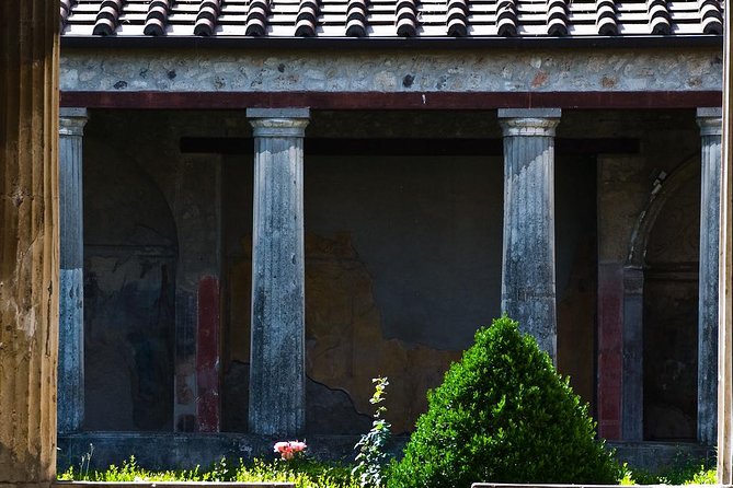Pompeii and Herculaneum Skip-the-Line Full Day Tour with a Private & Local Guide - What’s Included and What’s Not
