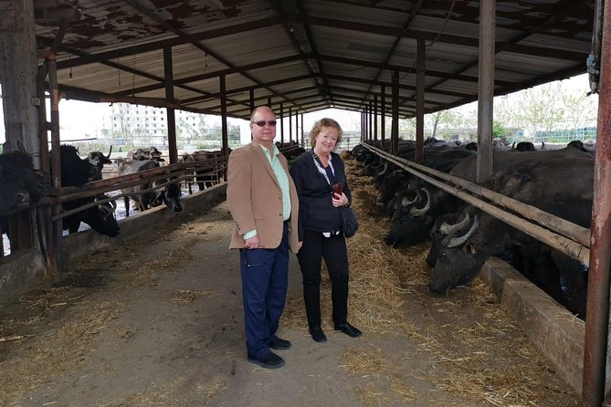 Pompeii and Herculaneum Skip-The-Line With Lunch&Winetasting From Rome - Exploring Pompeii