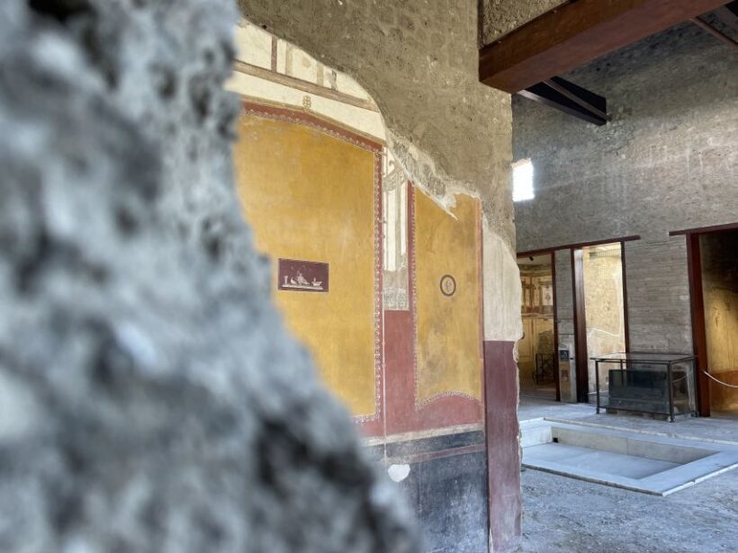 Pompeii and House of Vettii Guided Tour - Why This Tour Is Worth Considering