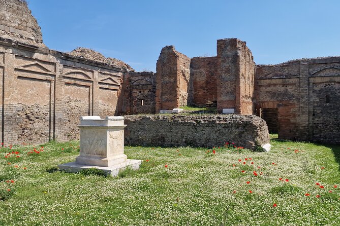 Pompeii and Sorrento Private Day Tour from Rome - Who Will Benefit Most?