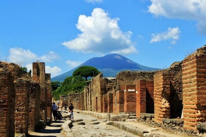 Pompeii and Vesuvius Day Trip From Naples With Skip the Line - Hike up Mount Vesuvius