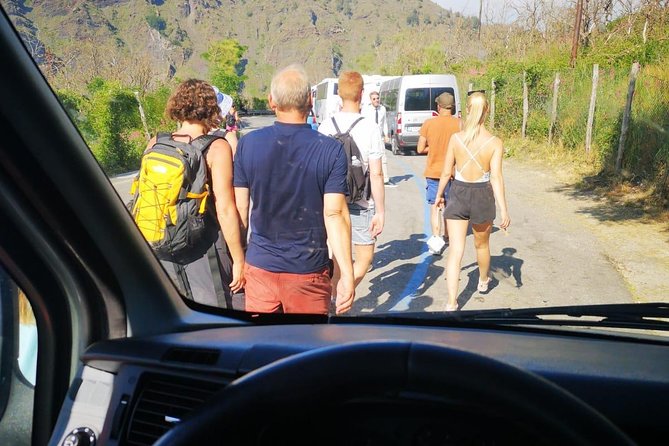 Pompeii and Vesuvius Tour: Lunch, Guide and Transfer Included - What to Expect on the Tour
