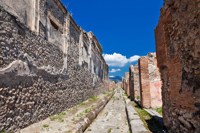Pompeii and Vesuvius Wine Tasting Private Tour - Key Points