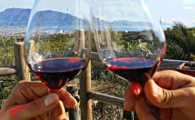 Pompeii and Wine Tasting Tour - Final Thoughts