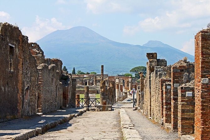 Pompeii Archaeological Area Entrance Ticket - Who Should Consider This Ticket?