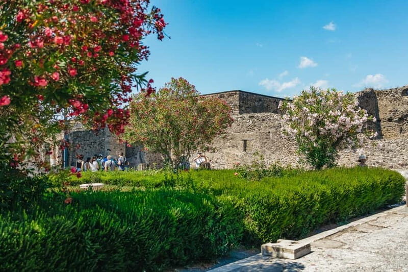 Pompeii: Archaeological Park Tour with Ticket on request - Key Points