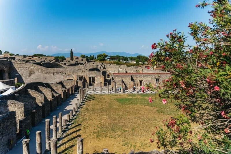 Pompeii: Archaeological Park Tour with Ticket on request - The Value of Guided Tours in Pompeii