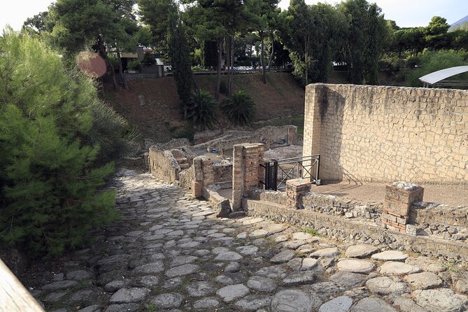 Pompeii Day Tour - The Sum Up: Who Will Appreciate This Tour?