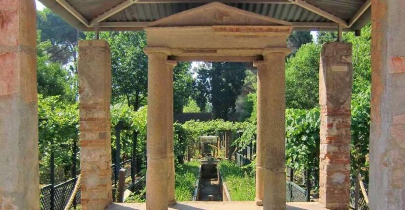 Pompeii Day Tour with Skip-the-Line Access - Who Will Love This Tour?