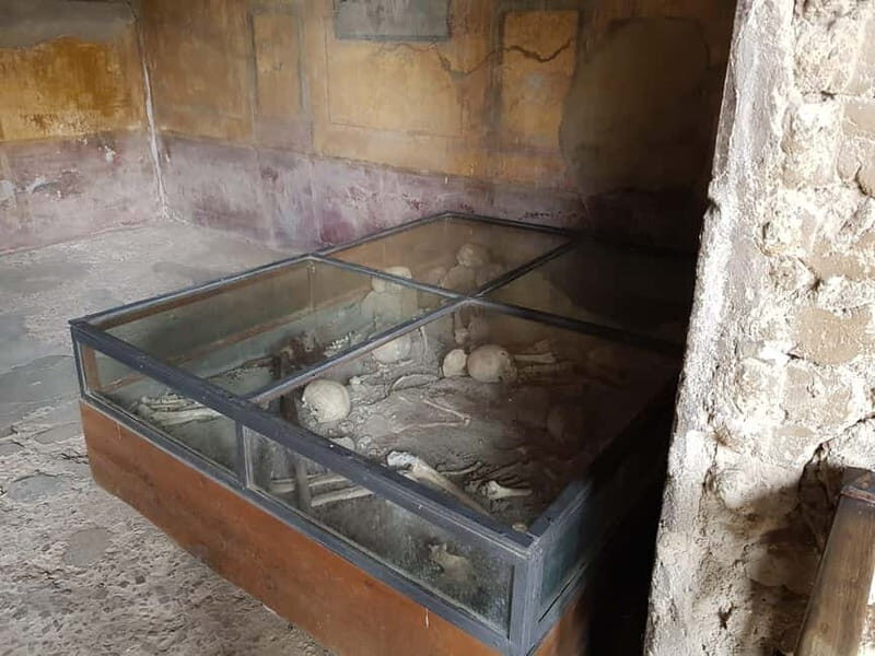 Pompeii: Entry Ticket w/ Guide and Transfers or Audio Guide - Final Thoughts