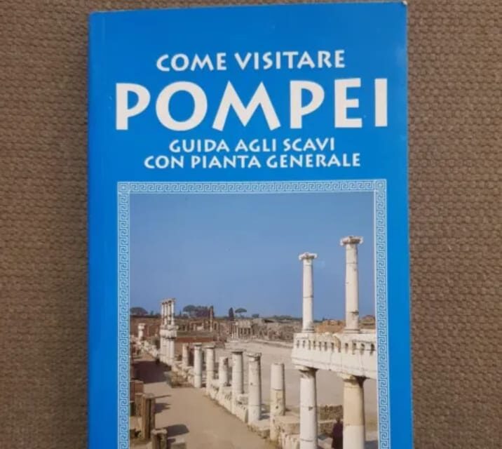 Pompeii: Entry Ticket with Book - Who Will Appreciate This Ticket?