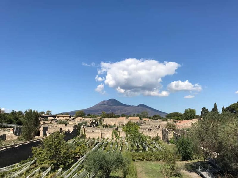 Pompeii: Exclusive Tour with Archaeologist and Entry Tickets - Why This Tour Offers Great Value