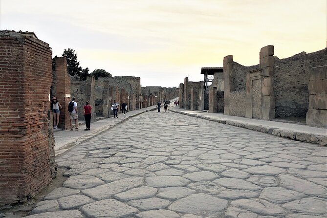 Pompeii Express: 1-Hour Guided Tour - Who Will Love This Tour?