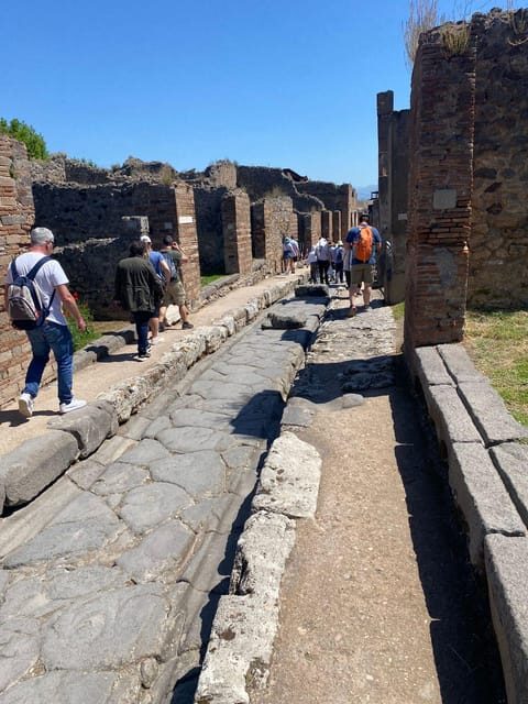 Pompeii from Napoli: transfer + entry ticket + guided tour - Analyzing the Value