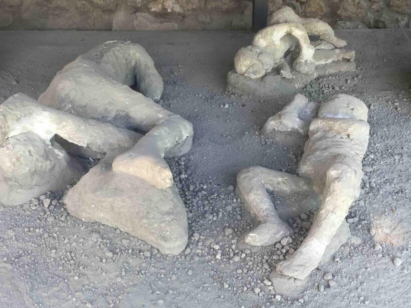 Pompeii: Group Guided Tour With Optional Tickets - The Included Elements and Extras