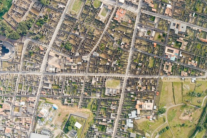 Pompeii Guided Group Tour Plus Entry Ticket - Customer Reviews and Feedback