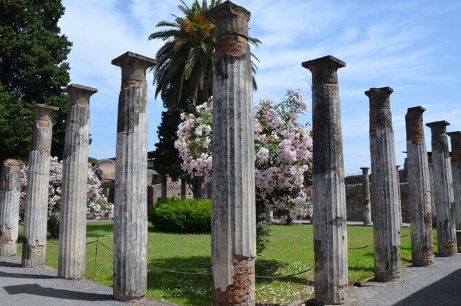 Pompeii: Guided Small Group Tour Max 6 People With Private Option - Private Tour Option Available