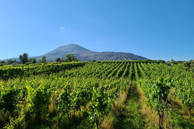 Pompeii Guided Tour & Lunch with Tasting at Two Vesuvian Wineries - Who Should Consider This Tour?