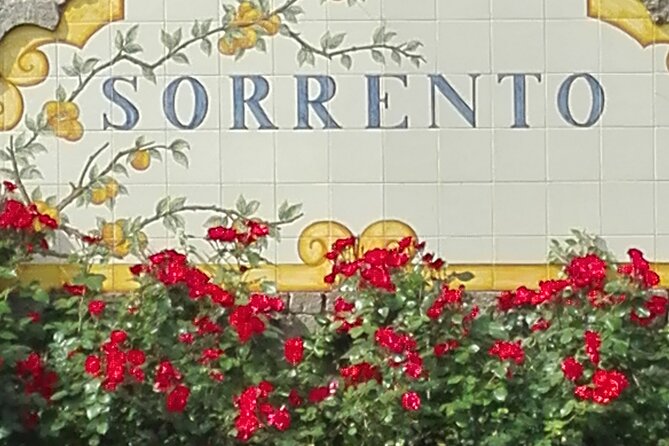 Pompeii Half-Day Tour from Sorrento - Introduction