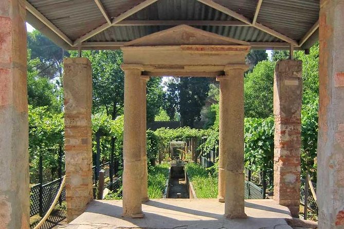 Pompeii Half-Day Tour With Highlights and Newly Opened Houses - Customizable Tour Experience and Customer Feedback