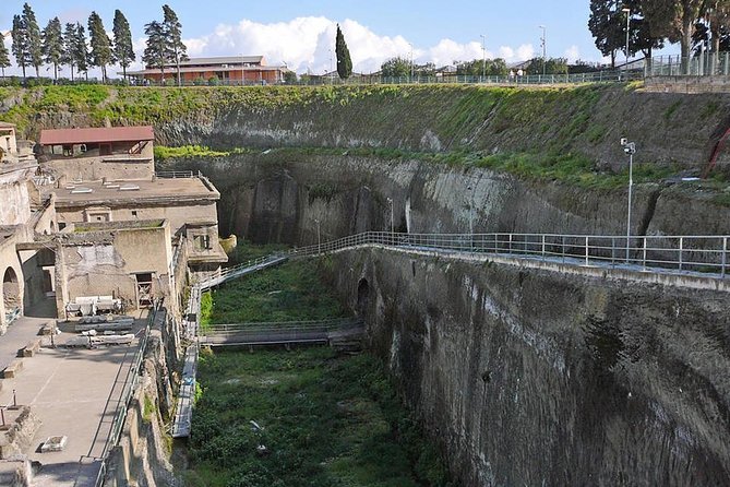 Pompeii, Herculaneum and Vesuvius Private Guided Tour - Analyzing the Value