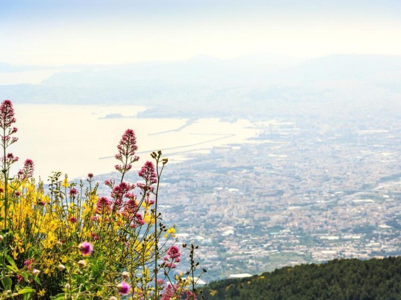 Pompeii, Herculaneum and Vesuvius Tour - Key Points