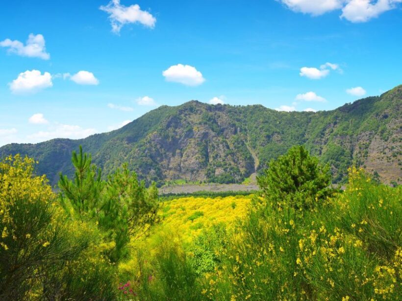 Pompeii, Herculaneum and Vesuvius Tour - Final thoughts: Is it worth it?