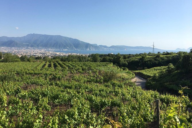 Pompeii & Herculaneum in Private Formula - FAQ