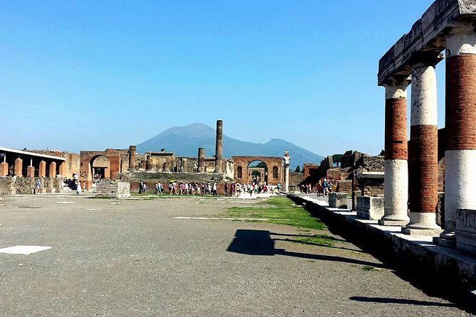Pompeii, Herculaneum, Naples From Naples, Sorrento, Amalfi Coast - Participation Requirements