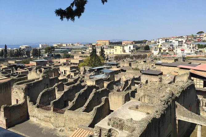 Pompeii-Herculaneum-Wine tour from Sorrento, with licensed guide included - Possible Drawbacks