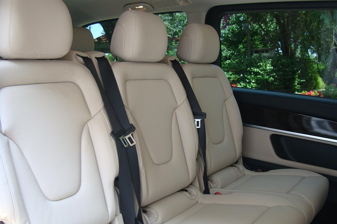 Pompeii, Mt Vesuvius and Wine Tour Review - Dress Code and Dietary Requirements