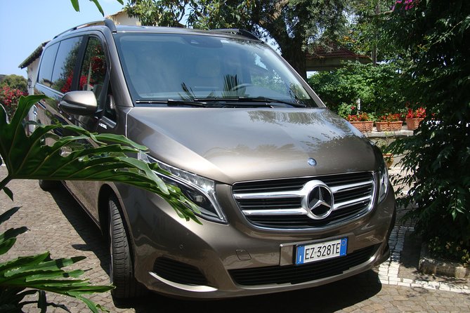 Pompeii, Mt Vesuvius and Wine Tour Review - Pricing and Cancellation Policy