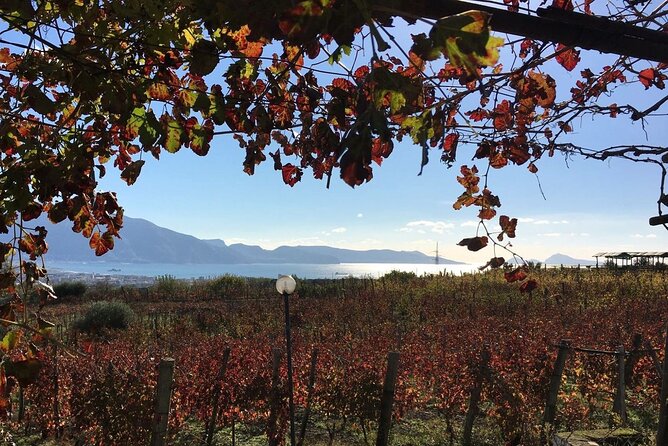 Pompeii, Mt Vesuvius and Wine Tour Review - Why Choose This Tour?