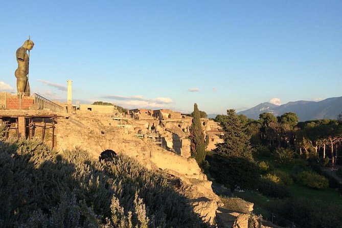 Pompeii & Naples: Full Day Tour with your Local Guide - Analyzing the Value