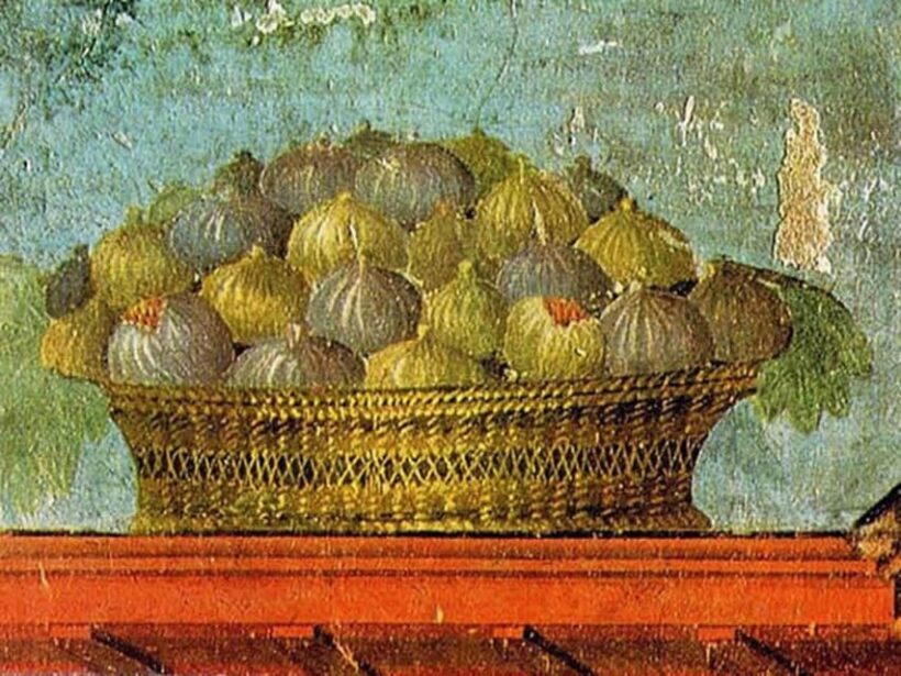 Pompeii: Oplontis Small Group Tour with an Archaeologist - Discovering Oplontis: An Overview