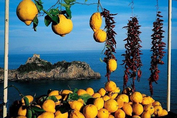 Pompeii, Positano and Amalfi Coast Private Day Tour from Rome - Cost and Value